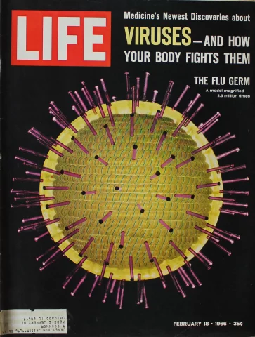 LIFE | February 18, 1966 at Wolfgang's