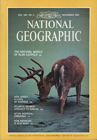 National Geographic | November 1981 at Wolfgang's