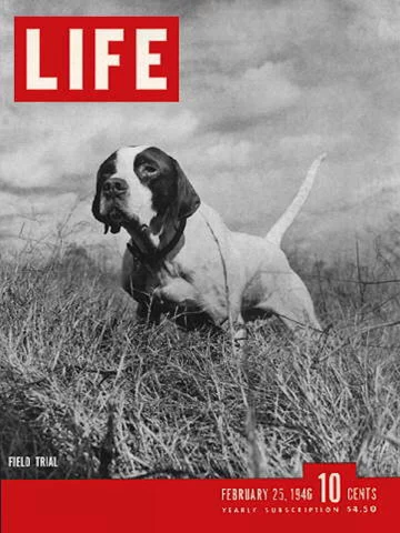 LIFE | February 25, 1946 at Wolfgang's