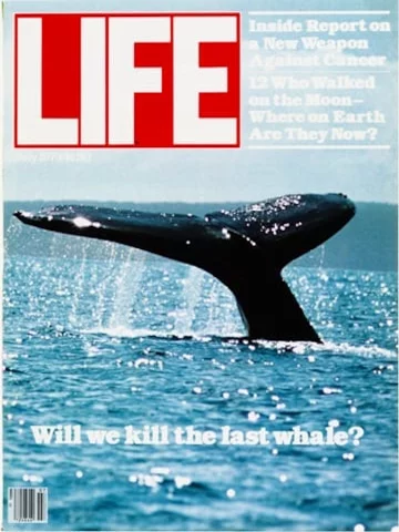 LIFE | July 1979 at Wolfgang's