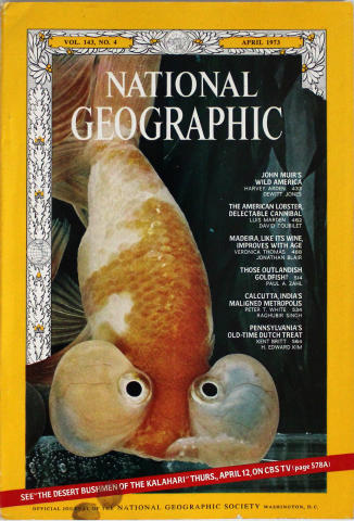 National Geographic | April 1973 at Wolfgang's