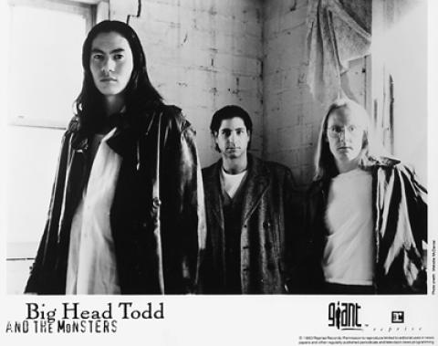 Big Head Todd & The Monsters Vintage Concert Promo Print, 1993 at ...