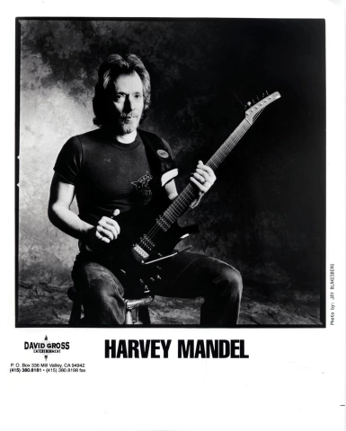 Harvey Mandel Vintage Concert Photo Promo Print at Wolfgang's