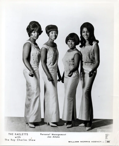 The Raelettes Vintage Concert Photo Promo Print at Wolfgang's