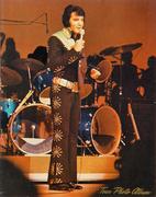 Elvis in Hawaii Vintage Concert Program at Wolfgang's