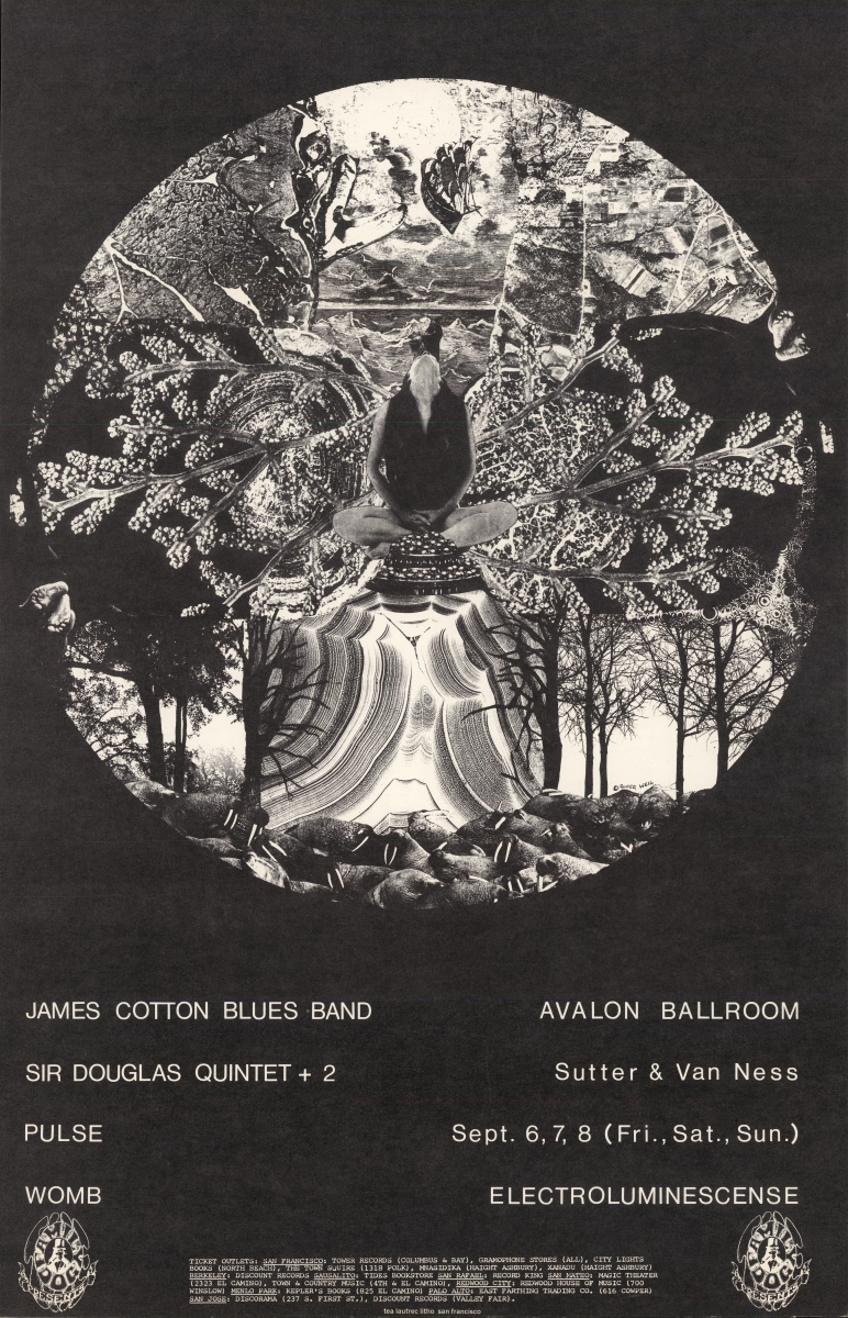 James Cotton Blues Band Vintage Concert Poster from Avalon Ballroom ...