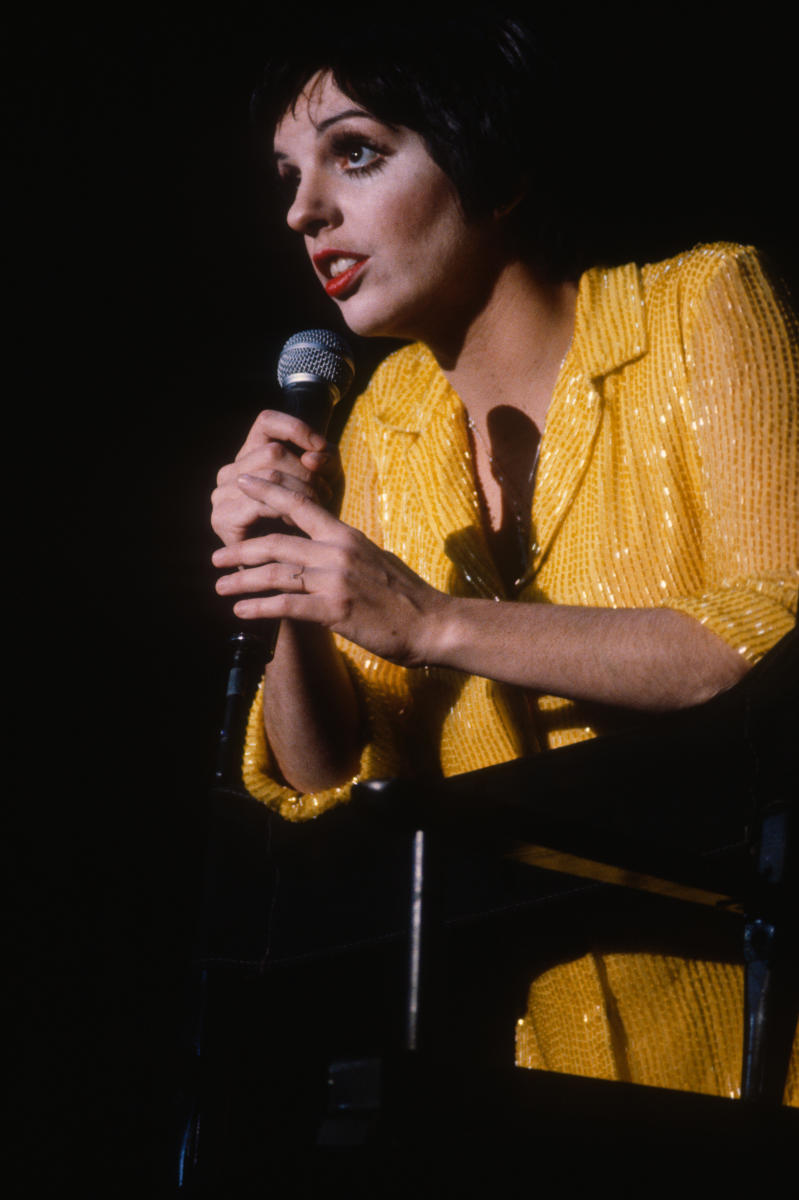 Liza Minelli Vintage Concert Photo Fine Art Print at Wolfgang's