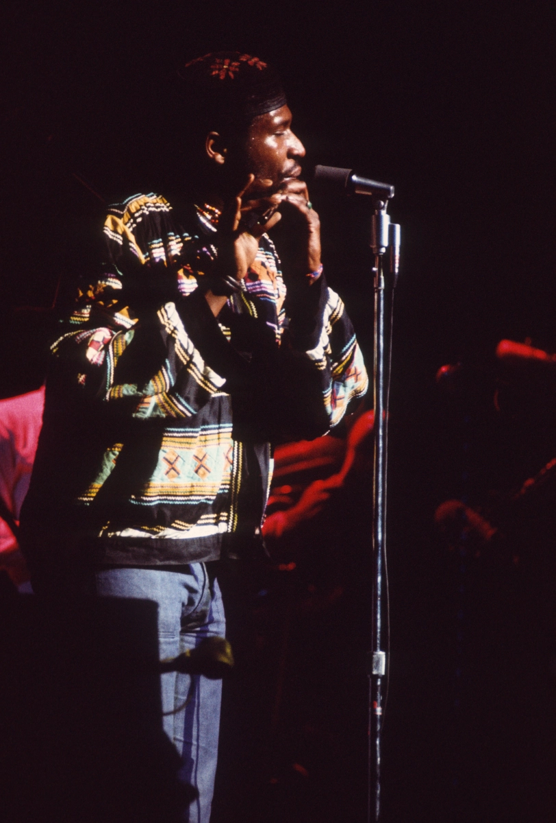 Taj Mahal Vintage Concert Photo Fine Art Print at Wolfgang's