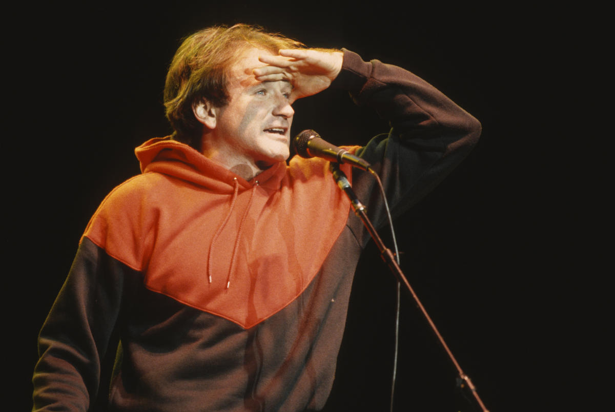 Bridge School Vintage Concert Photo Fine Art Print, 1986 at Wolfgang's