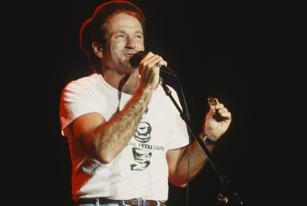 Bridge School Vintage Concert Photo Fine Art Print, 1986 at Wolfgang's