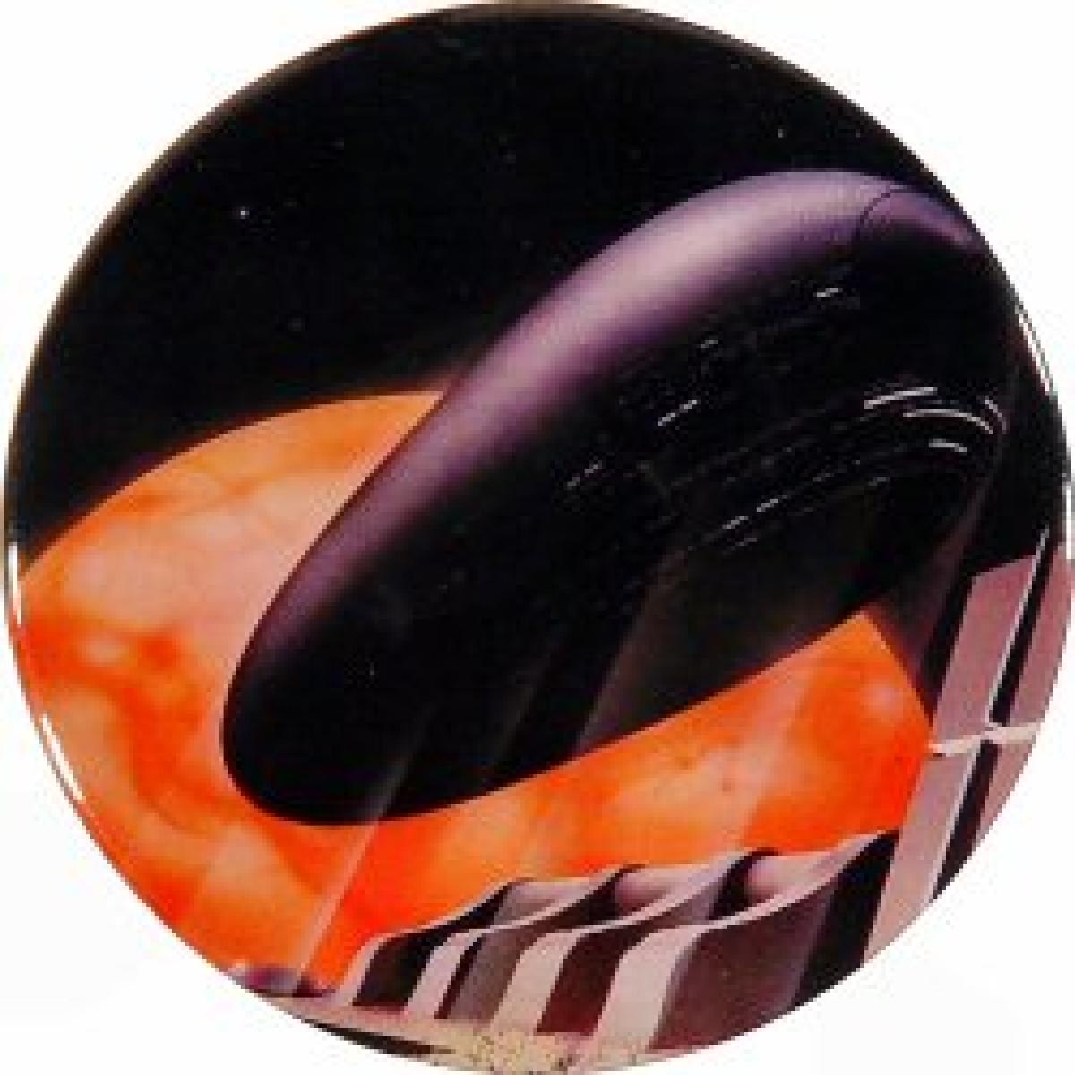 Led Zeppelin Pin from Oakland Coliseum Stadium, Jul 23, 1977 at Wolfgang's