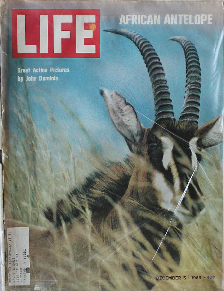 LIFE | December 5, 1969 at Wolfgang's