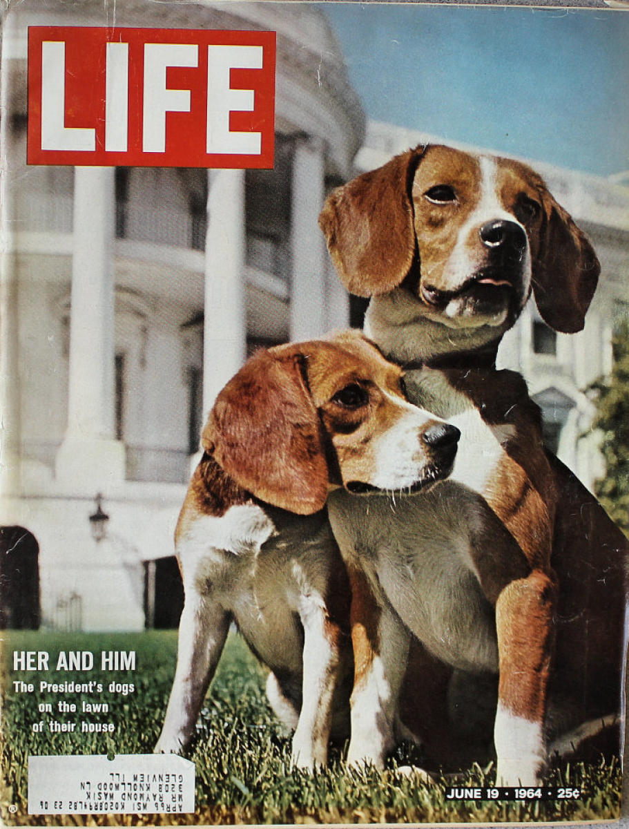 LIFE | June 19, 1964 at Wolfgang's