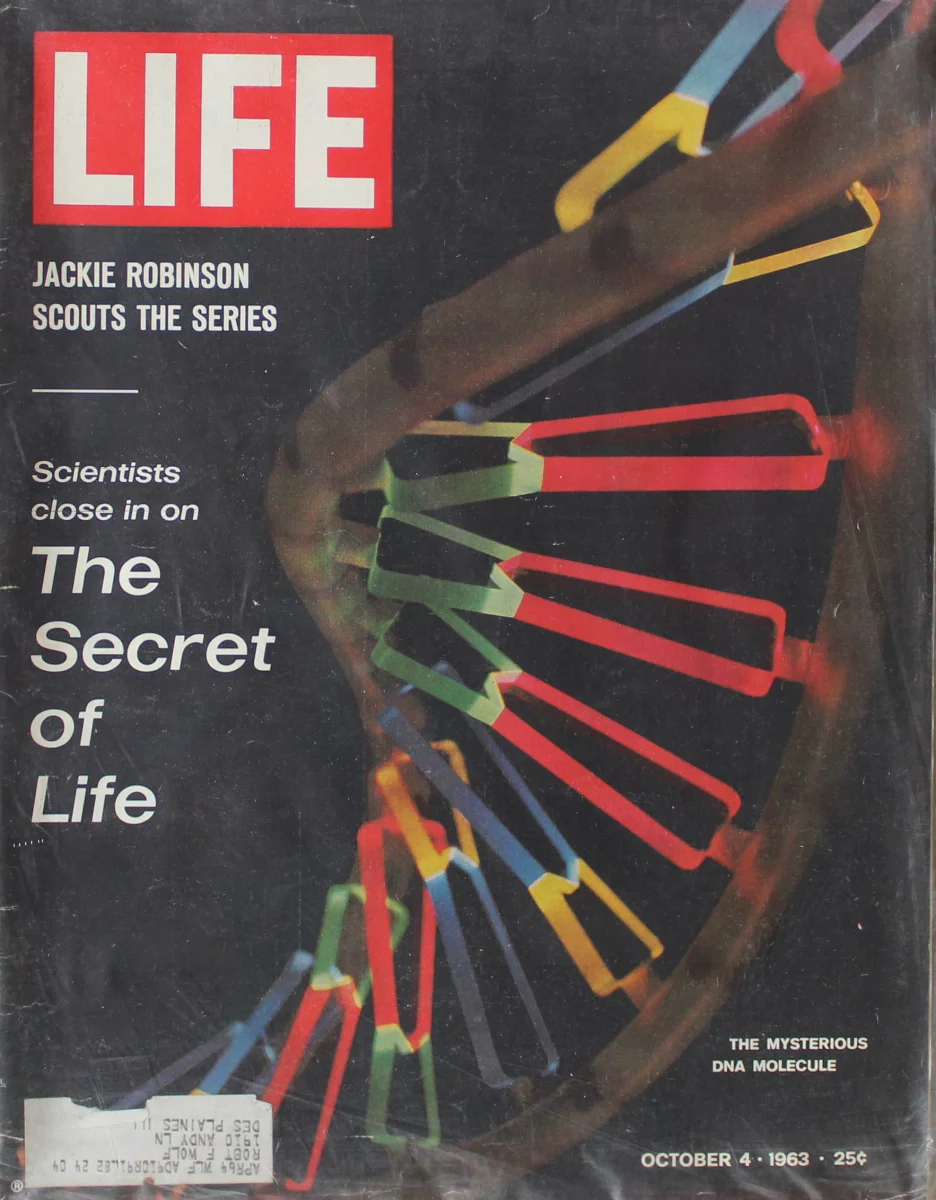 LIFE | October 4, 1963 at Wolfgang's