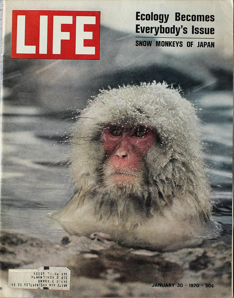 LIFE | January 30, 1970 at Wolfgang's