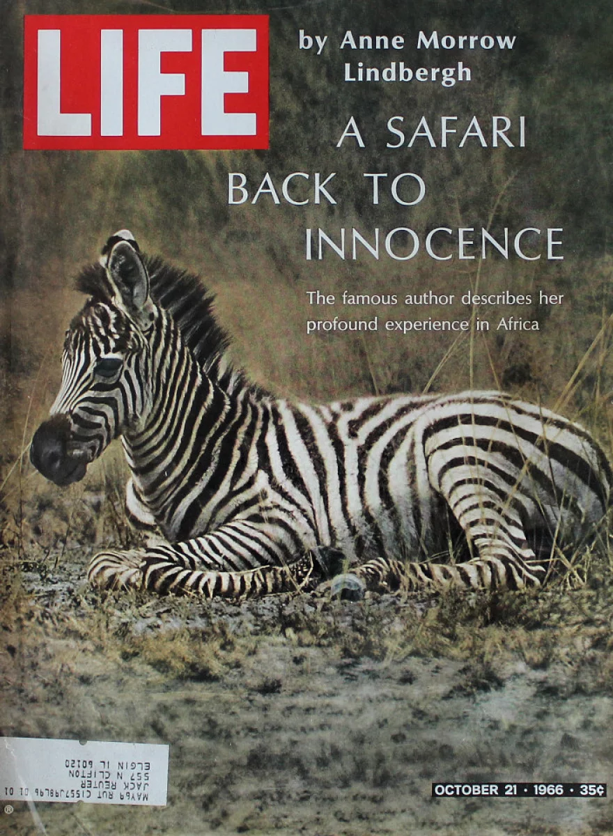 LIFE | October 21, 1966 at Wolfgang's