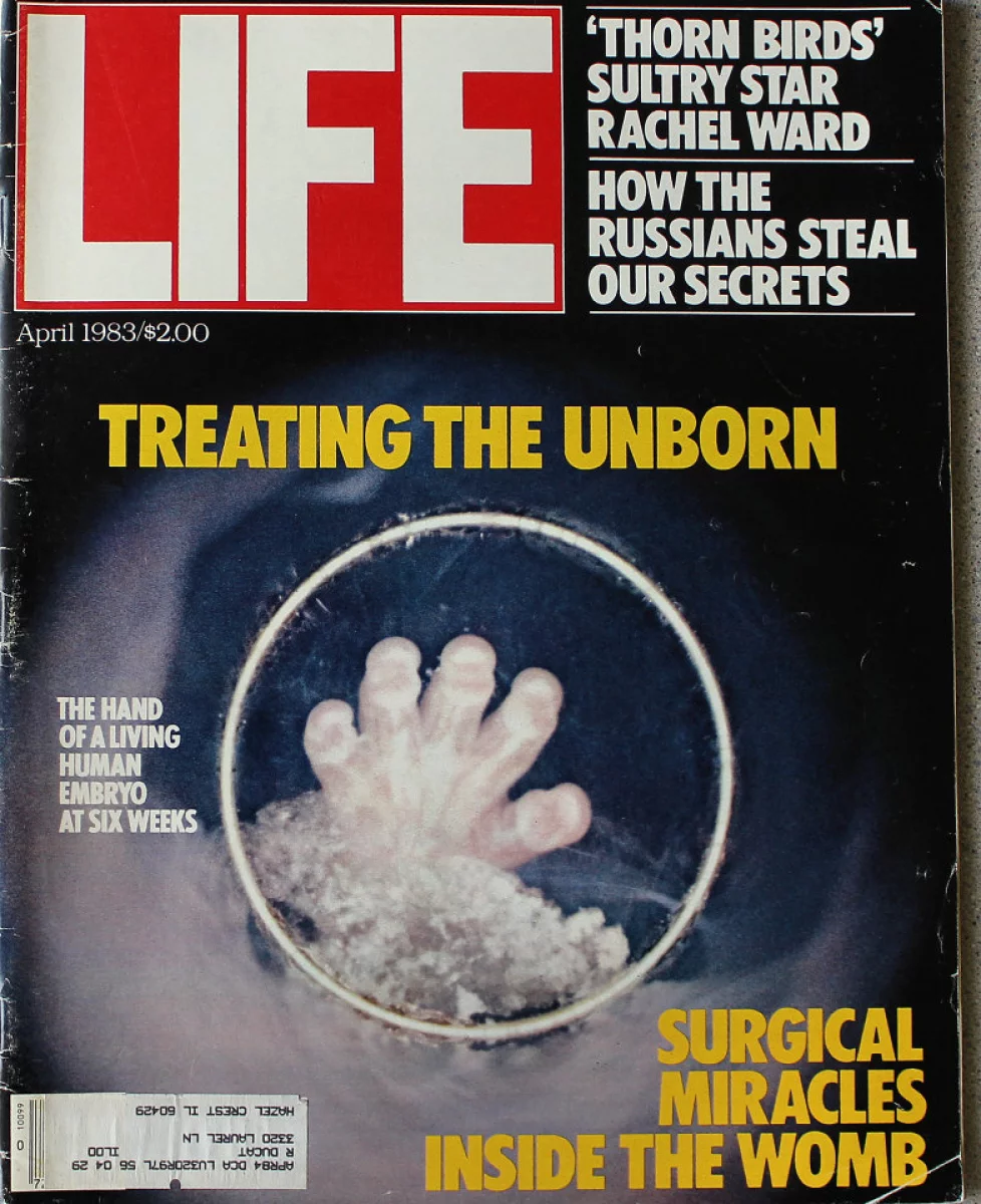 LIFE | April 1983 at Wolfgang's