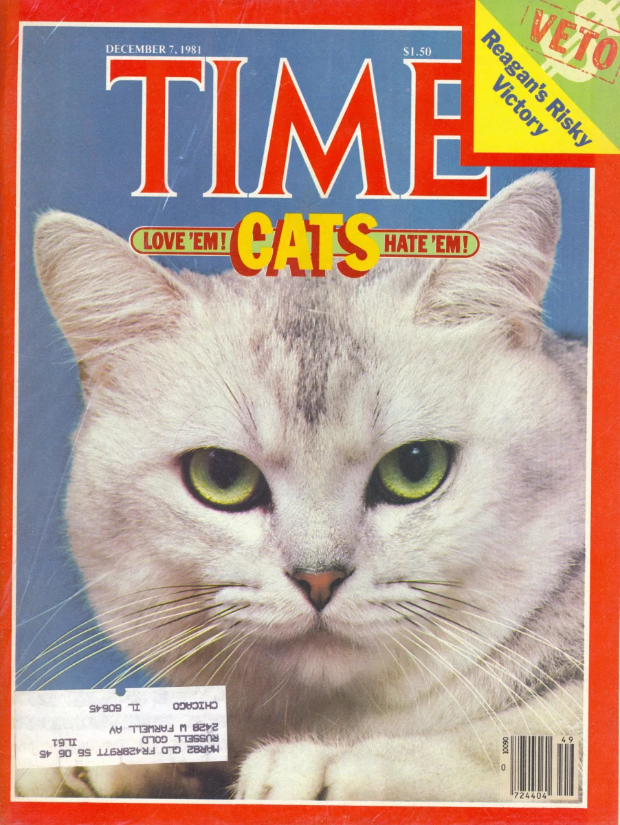 Time | December 7, 1981 at Wolfgang's