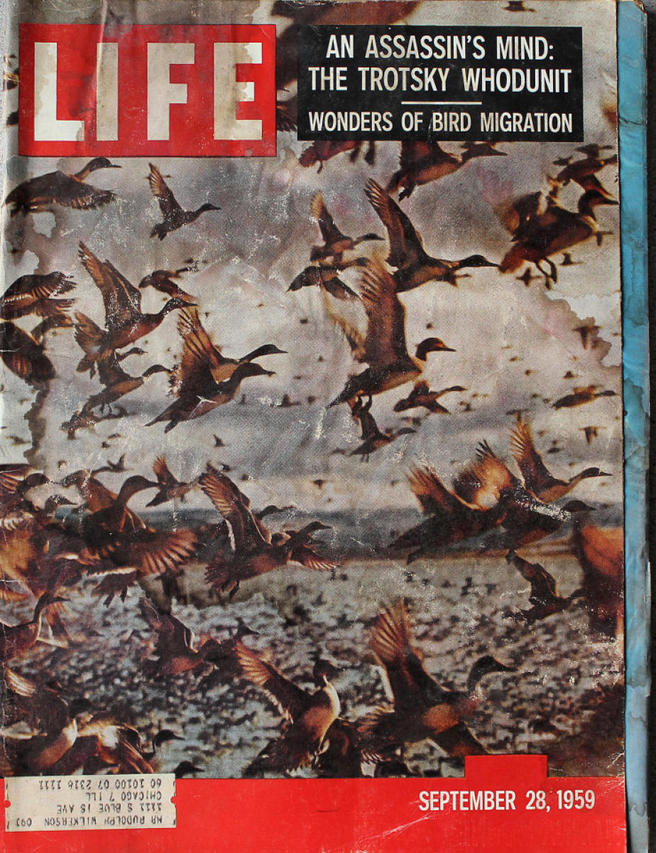LIFE | September 28, 1959 at Wolfgang's