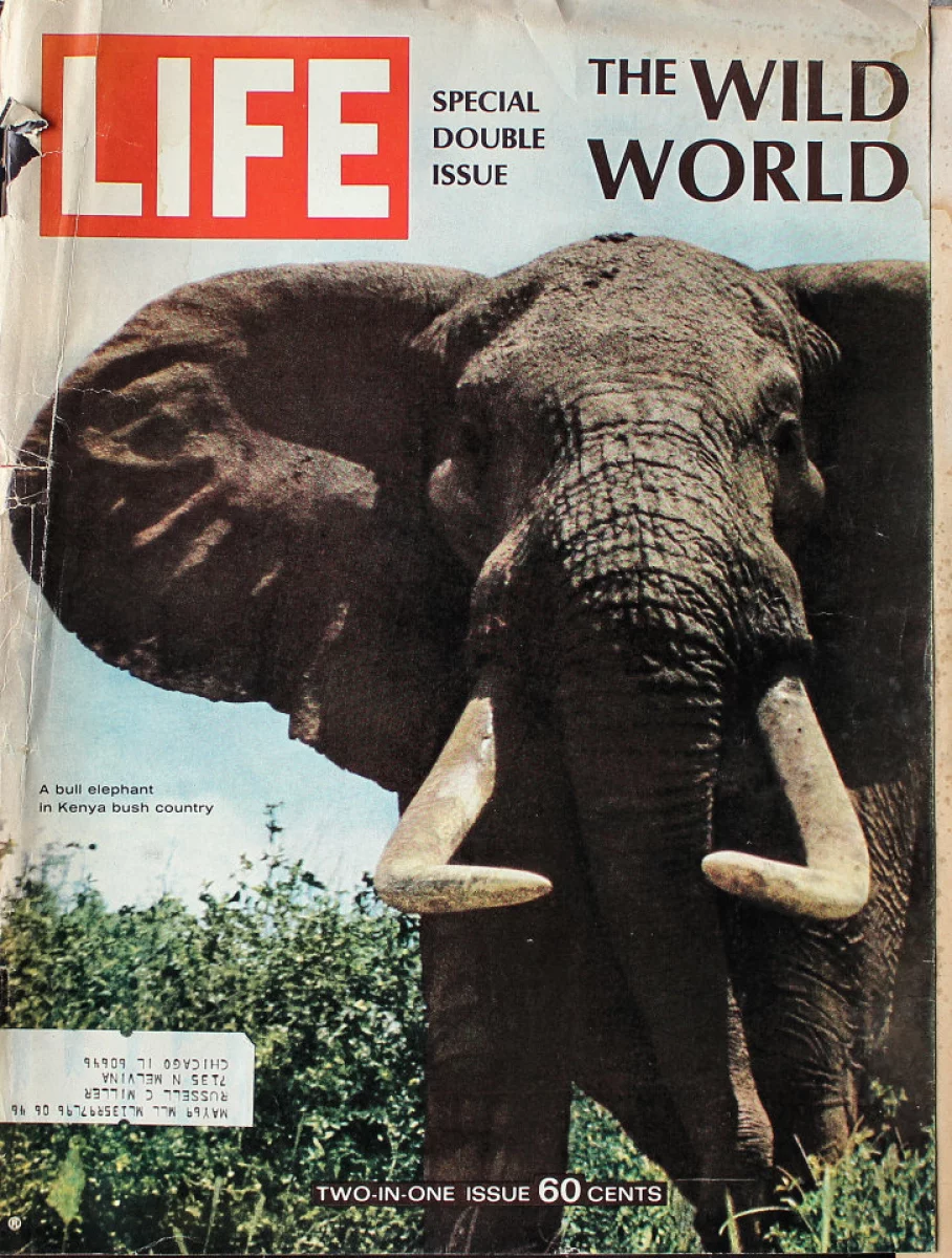 LIFE | December 22, 1967 at Wolfgang's