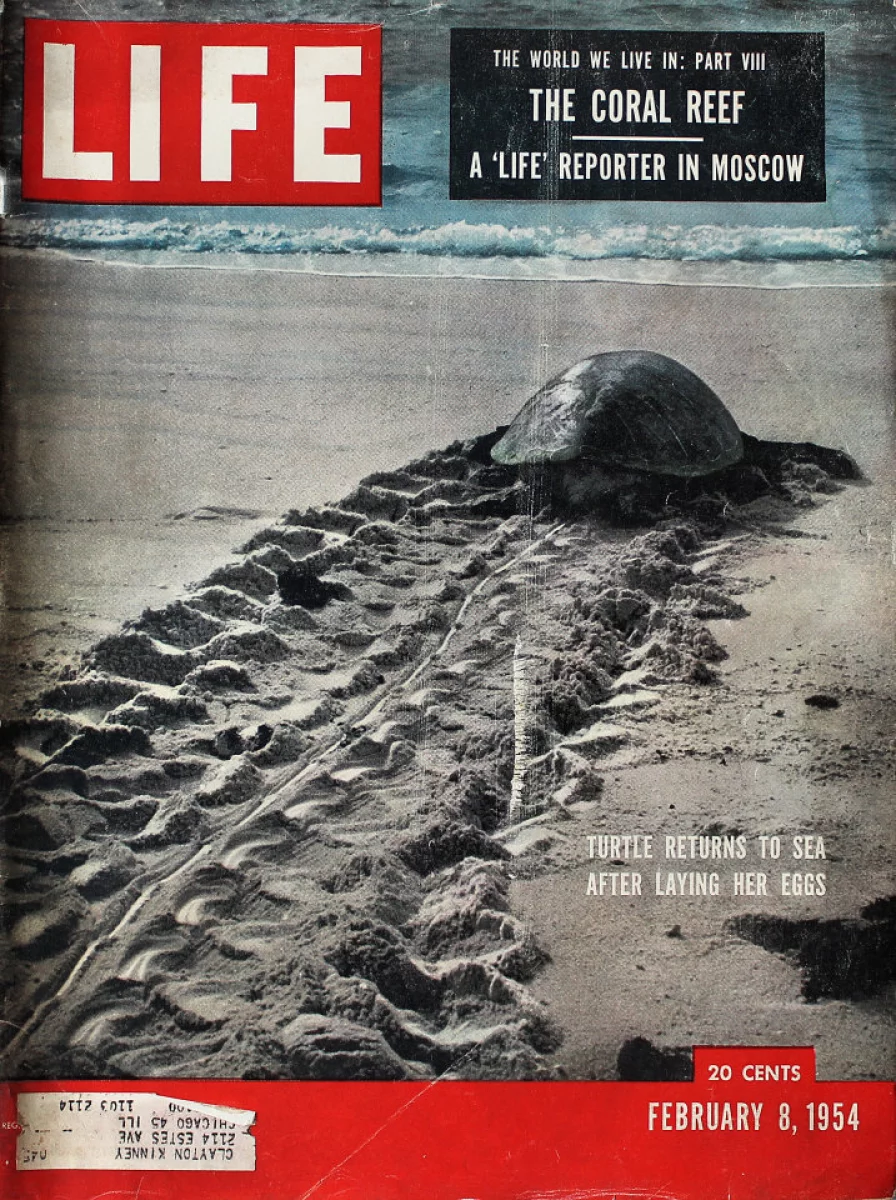 LIFE | February 8, 1954 at Wolfgang's