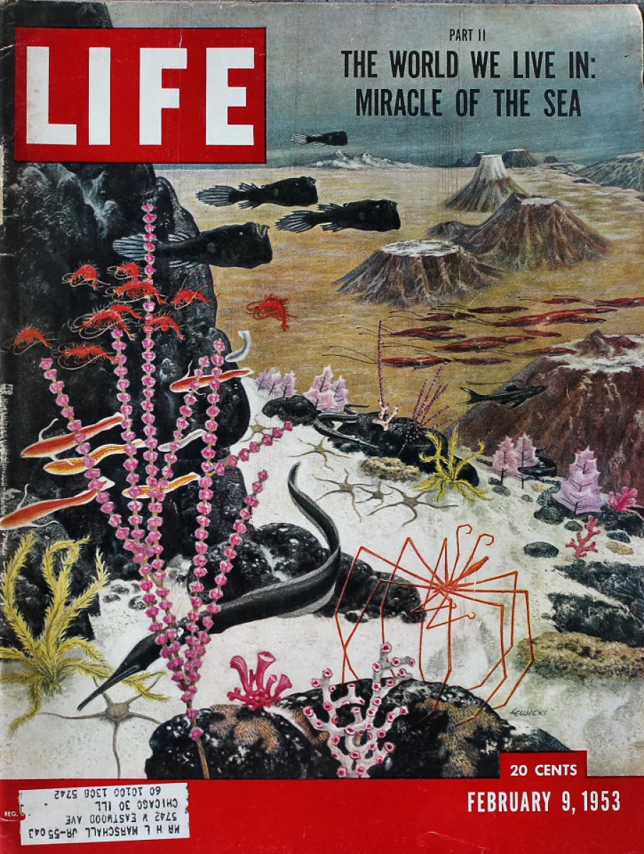 LIFE | February 9, 1953 at Wolfgang's