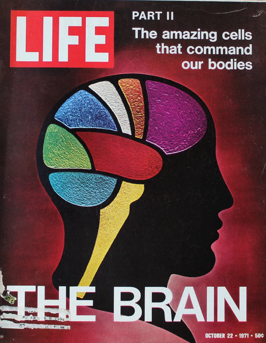 LIFE | October 22, 1971 at Wolfgang's