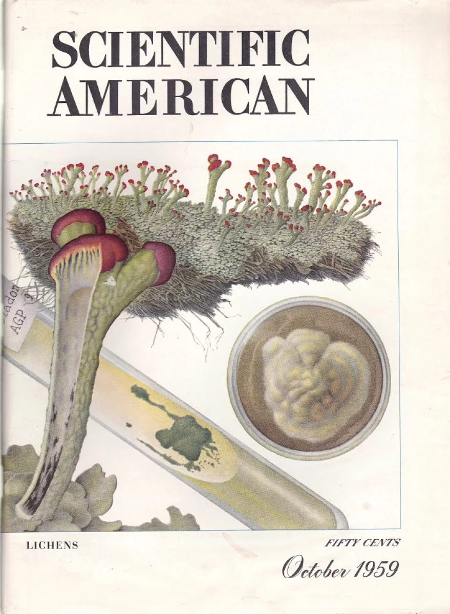 Scientific American | October 1959 at Wolfgang's