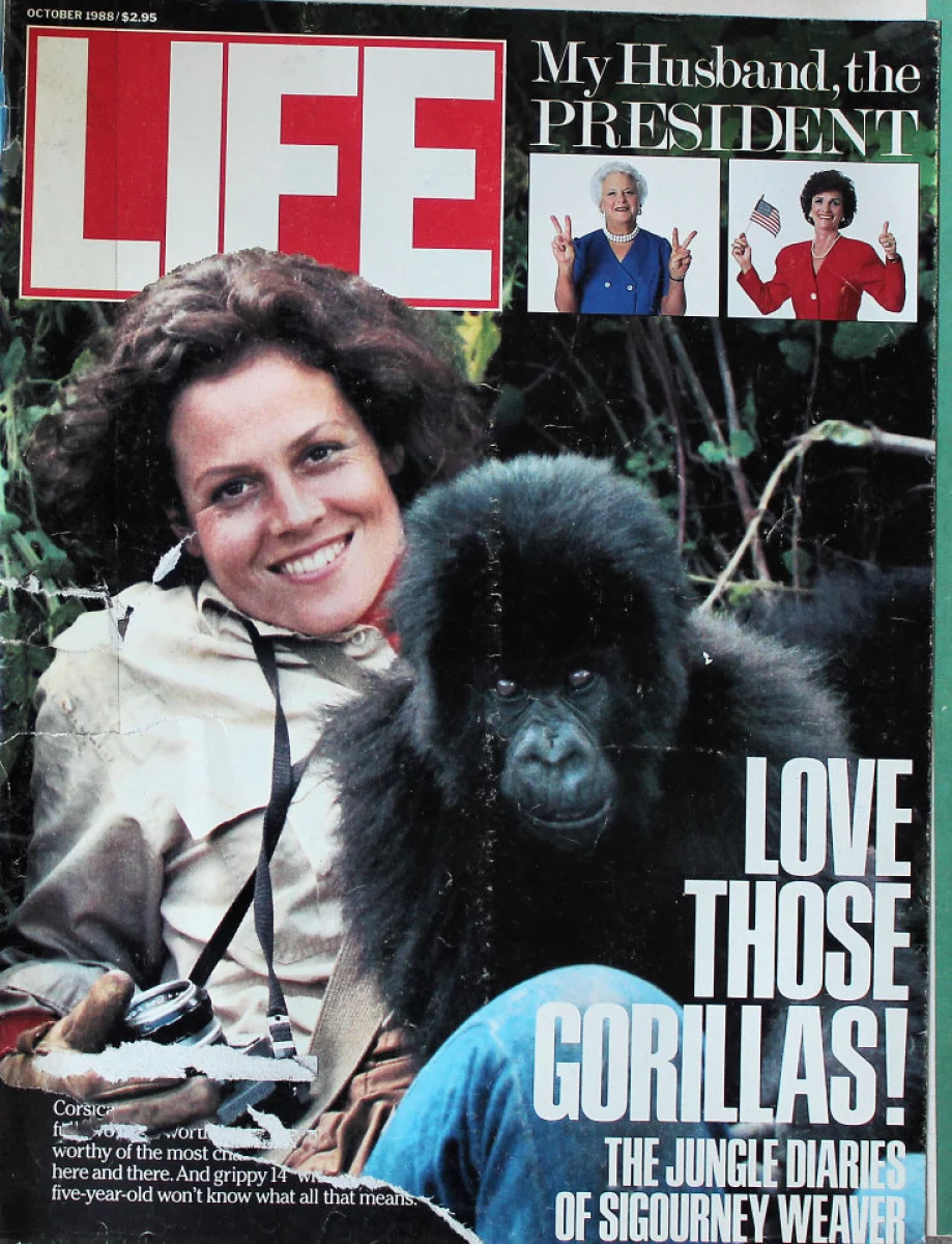 LIFE | October 1988 at Wolfgang's