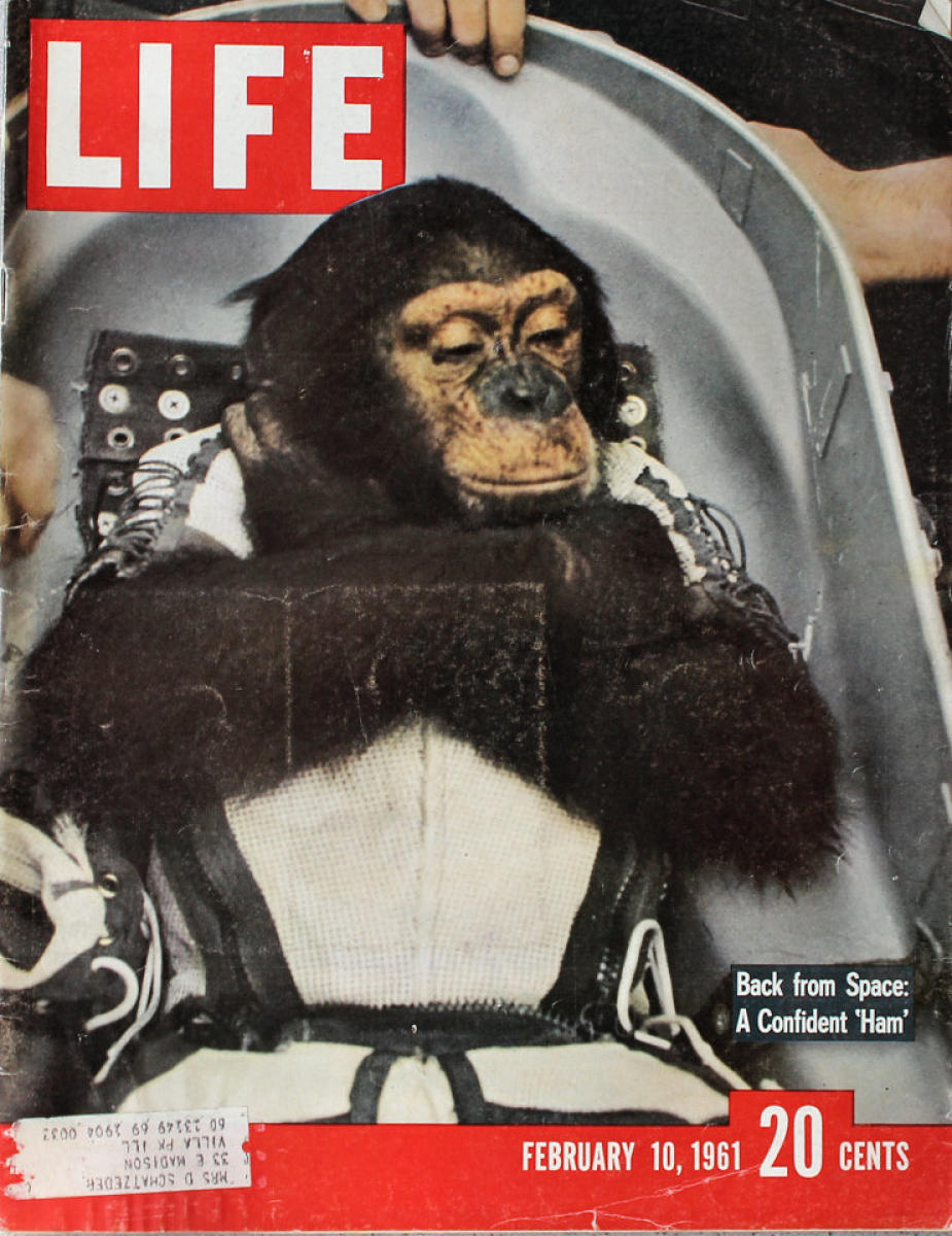 LIFE | February 10, 1961 at Wolfgang's