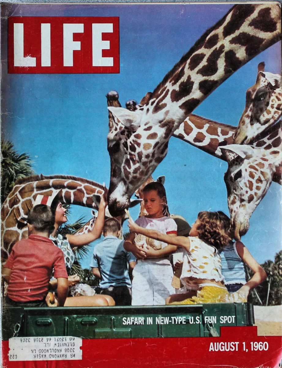 LIFE | August 1960 at Wolfgang's