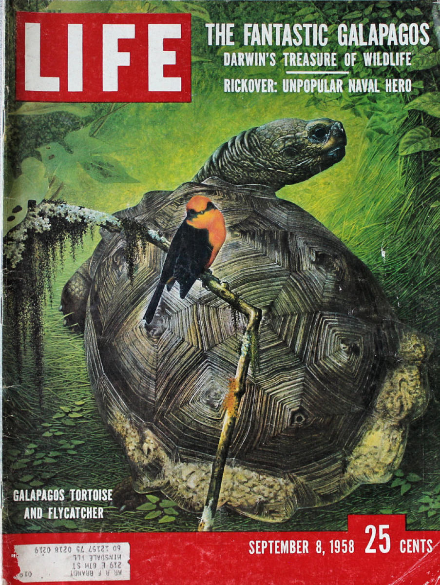 LIFE | September 8, 1958 at Wolfgang's