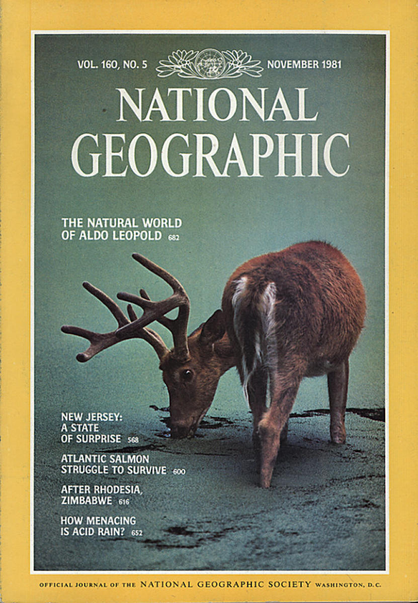 National Geographic | November 1981 at Wolfgang's