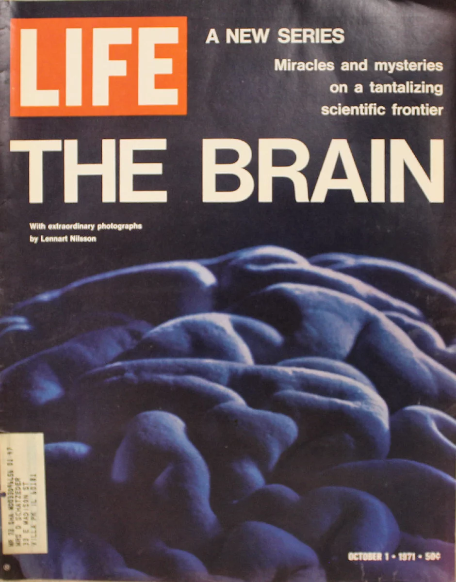 LIFE | October 1971 at Wolfgang's