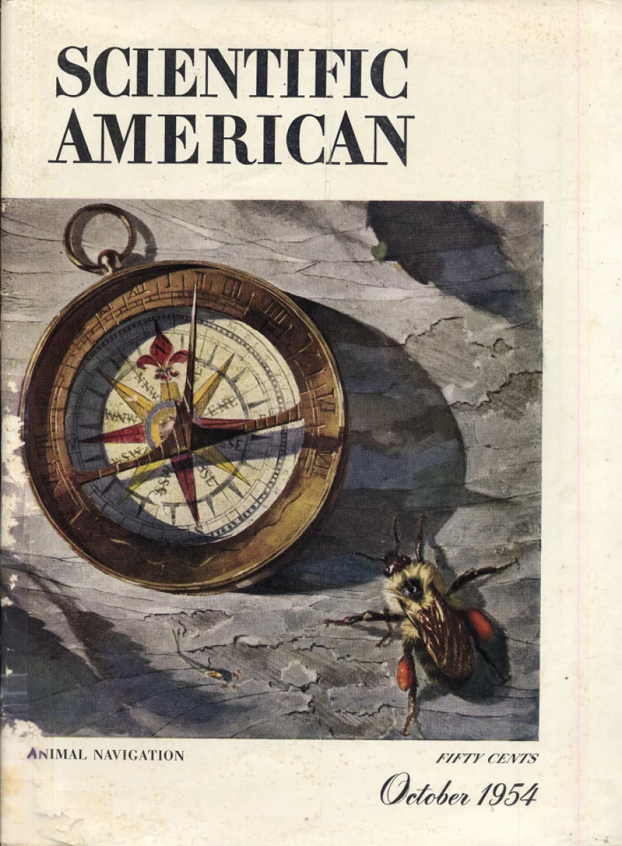 Scientific American | October 1954 at Wolfgang's