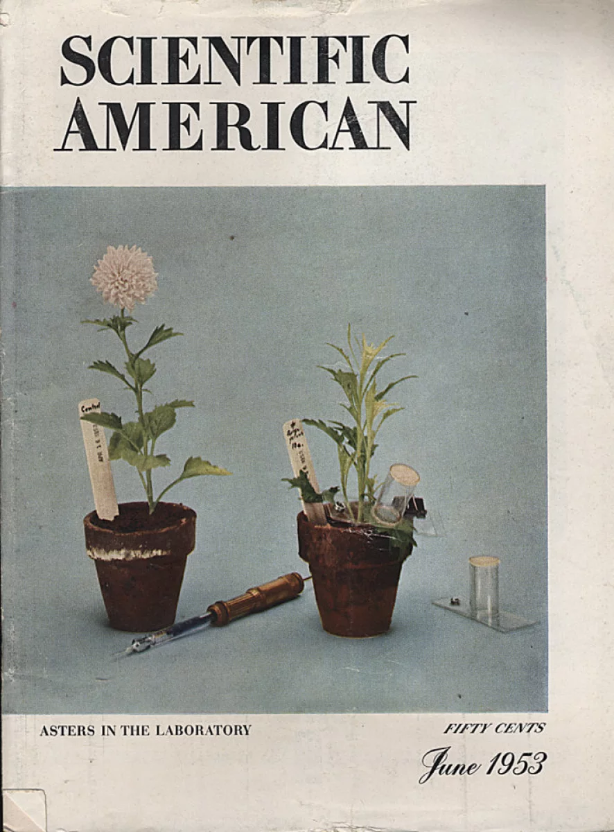 Scientific American | June 1953 at Wolfgang's