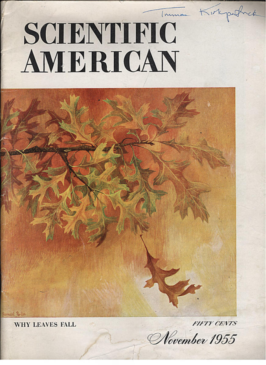 Scientific American | November 1955 at Wolfgang's