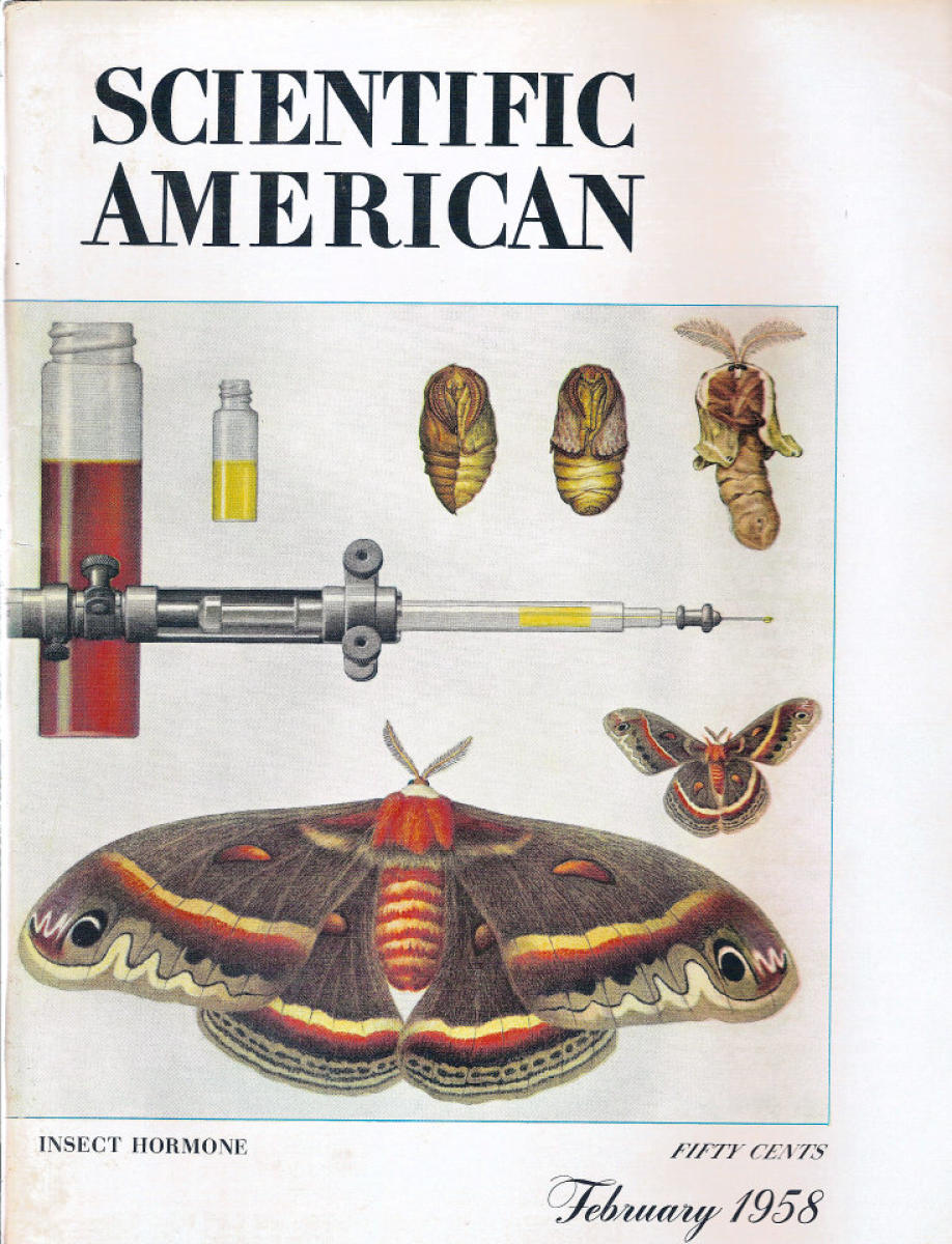 Scientific American | February 1958 at Wolfgang's