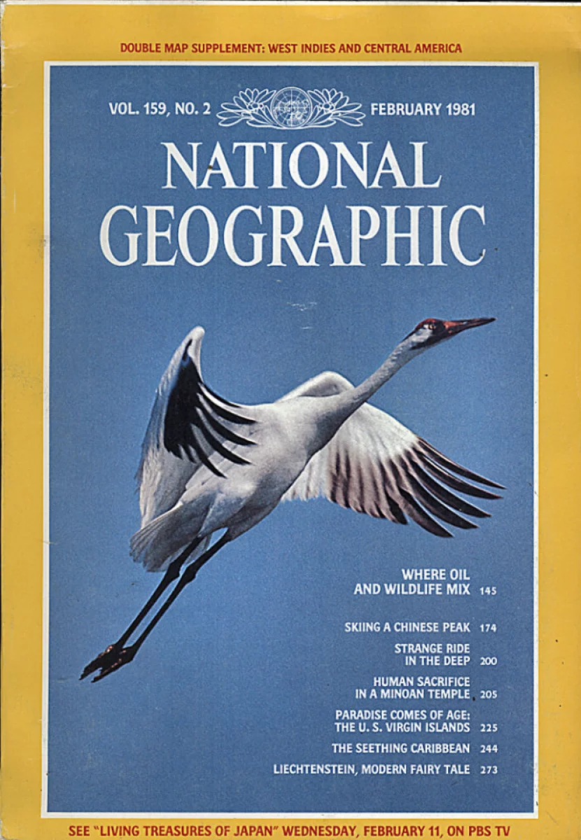 National Geographic | February 1981 at Wolfgang's