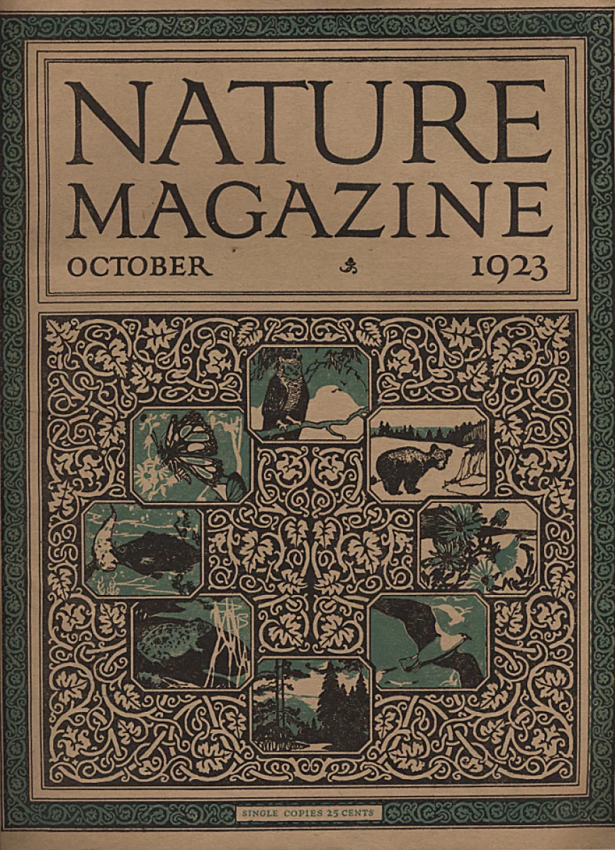 Nature | October 1923 at Wolfgang's