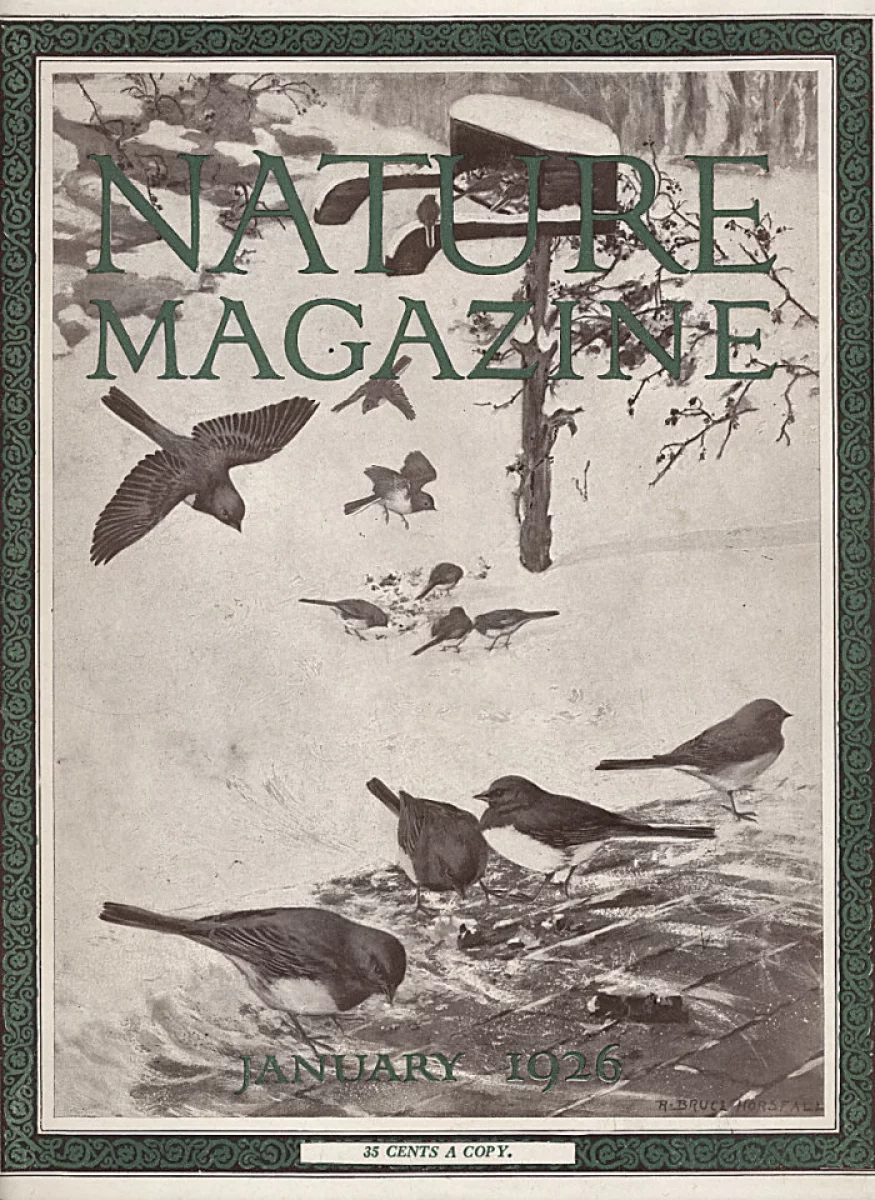 Nature | January 1926 at Wolfgang's
