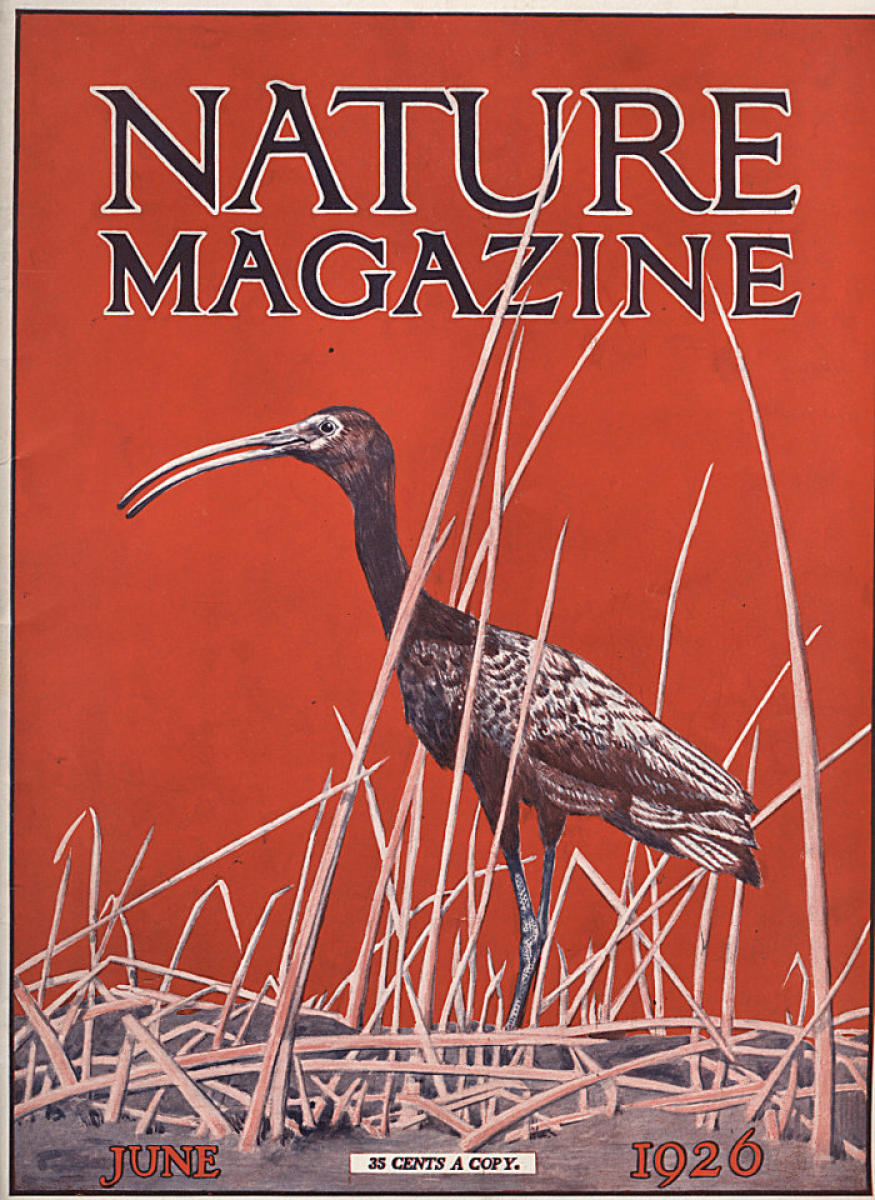 Nature | June 1926 at Wolfgang's