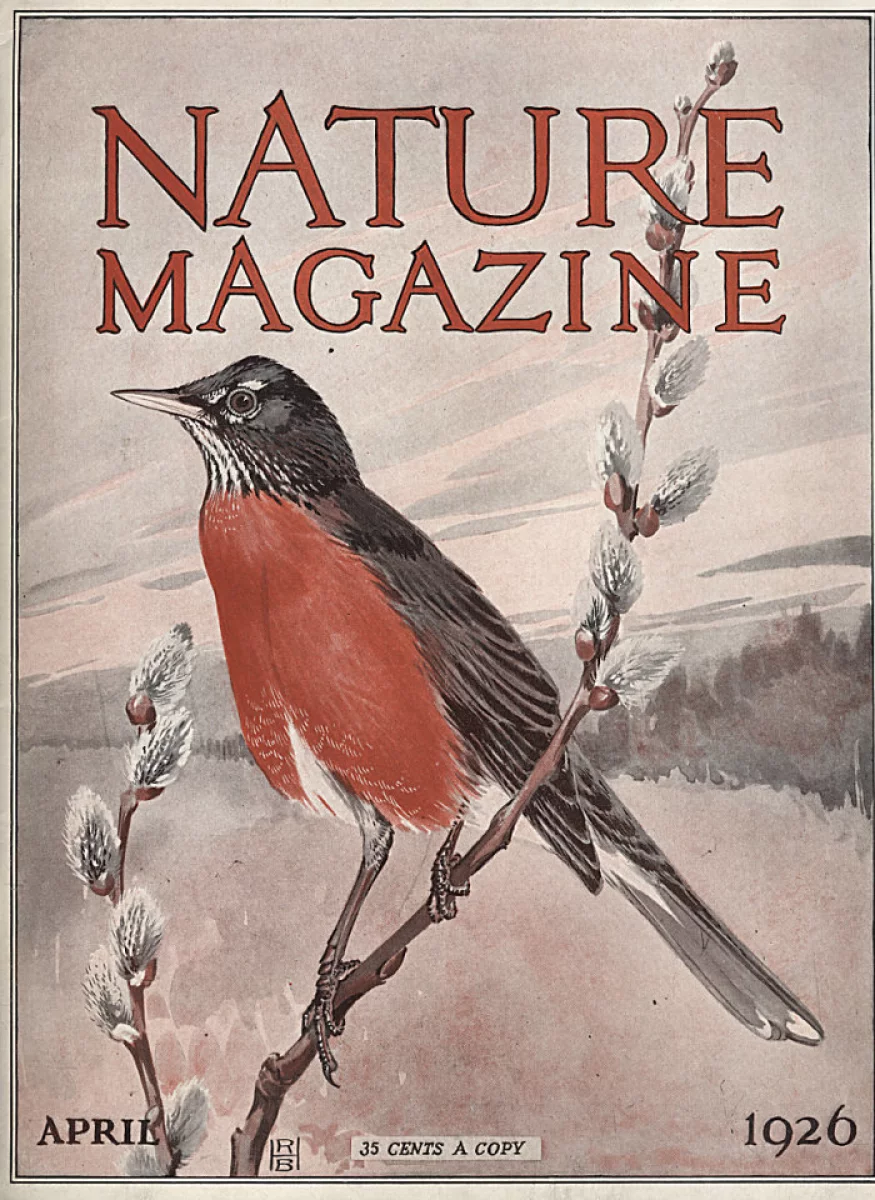 Nature | April 1926 at Wolfgang's