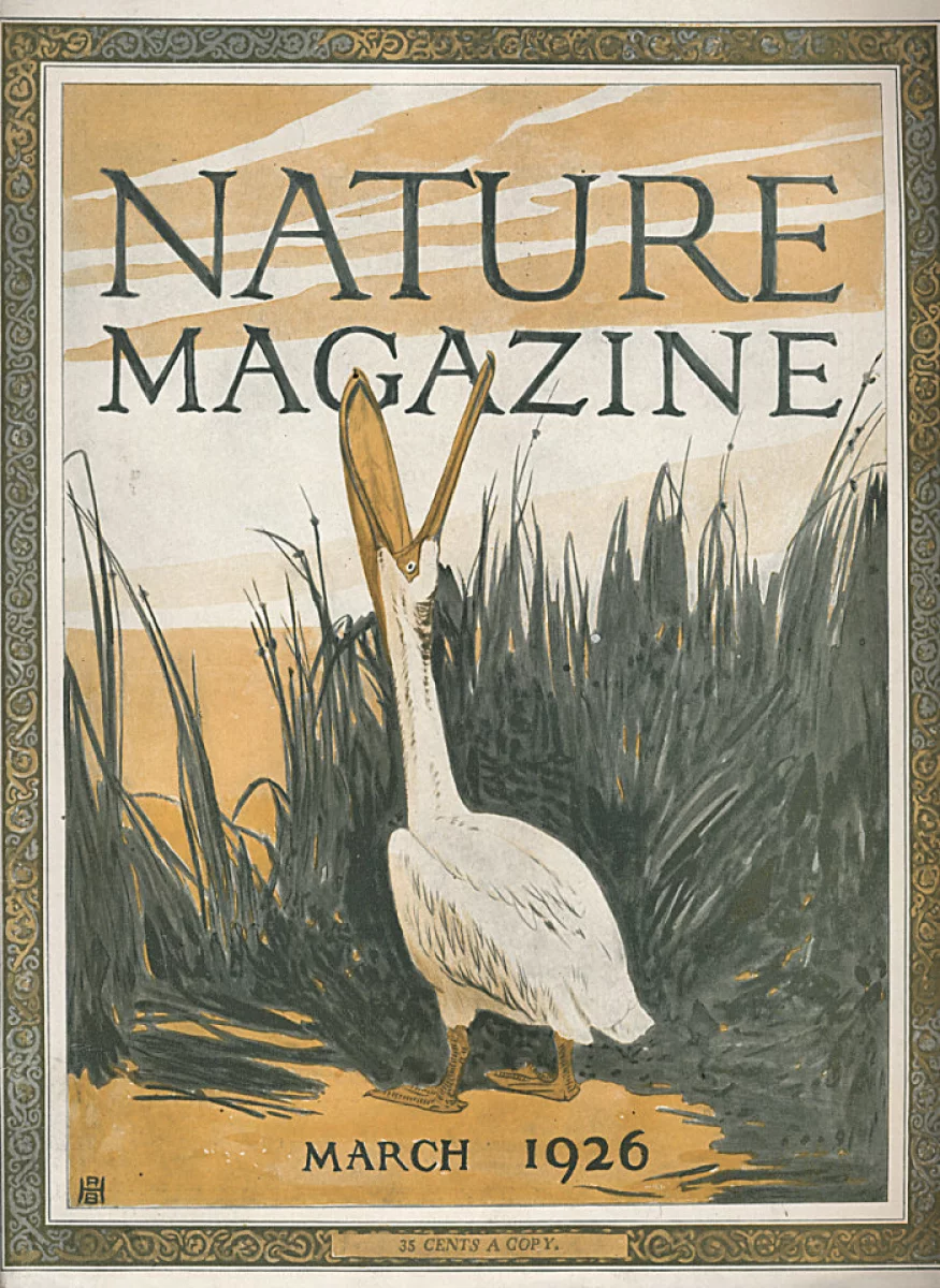 Nature | March 1926 at Wolfgang's