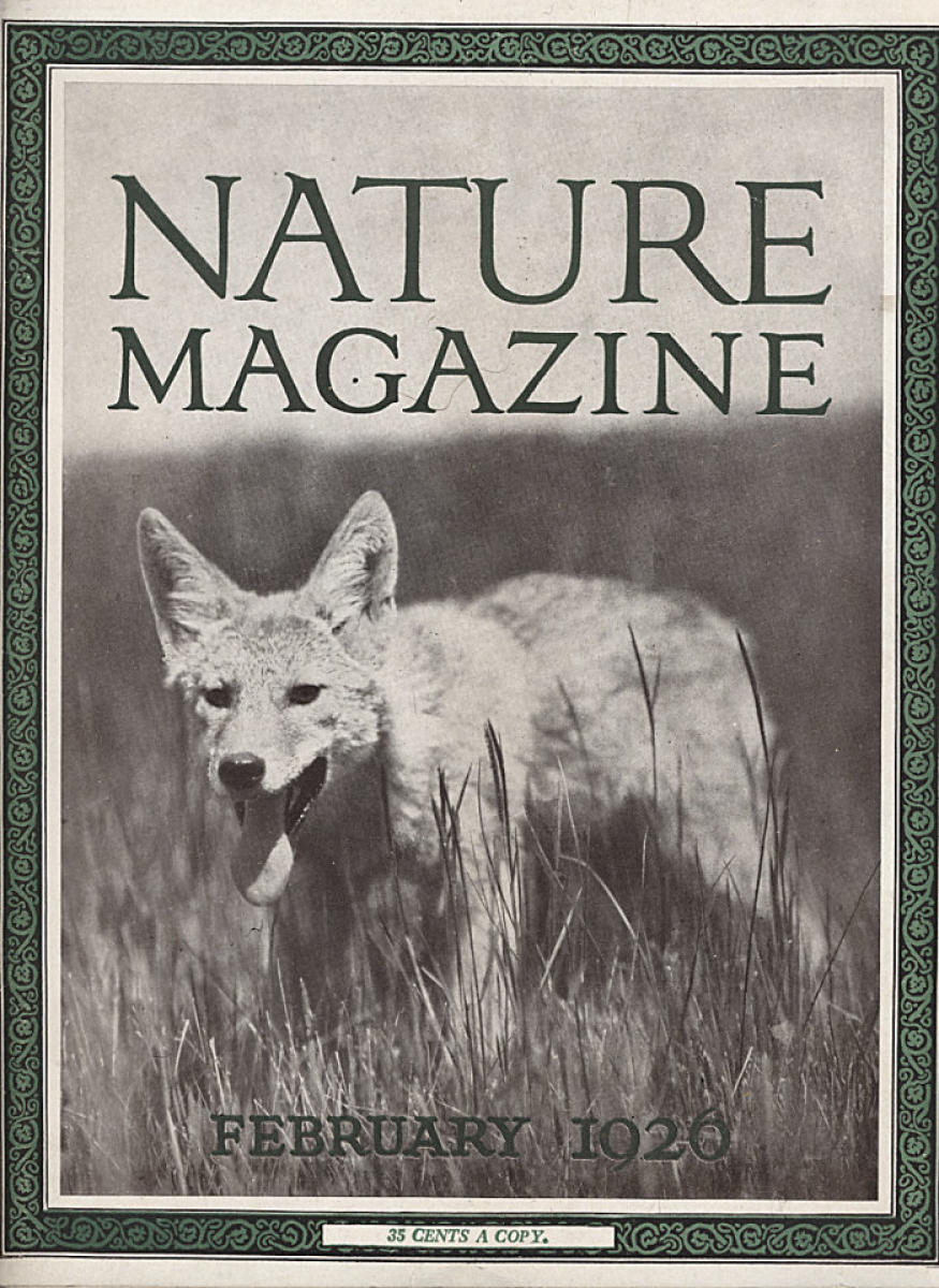 Nature | February 1926 at Wolfgang's