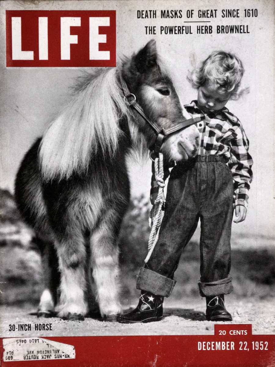 LIFE | December 22, 1952 at Wolfgang's