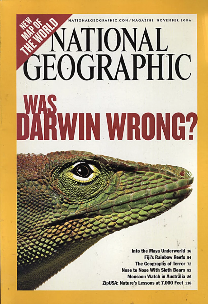 National Geographic | November 2004 at Wolfgang's