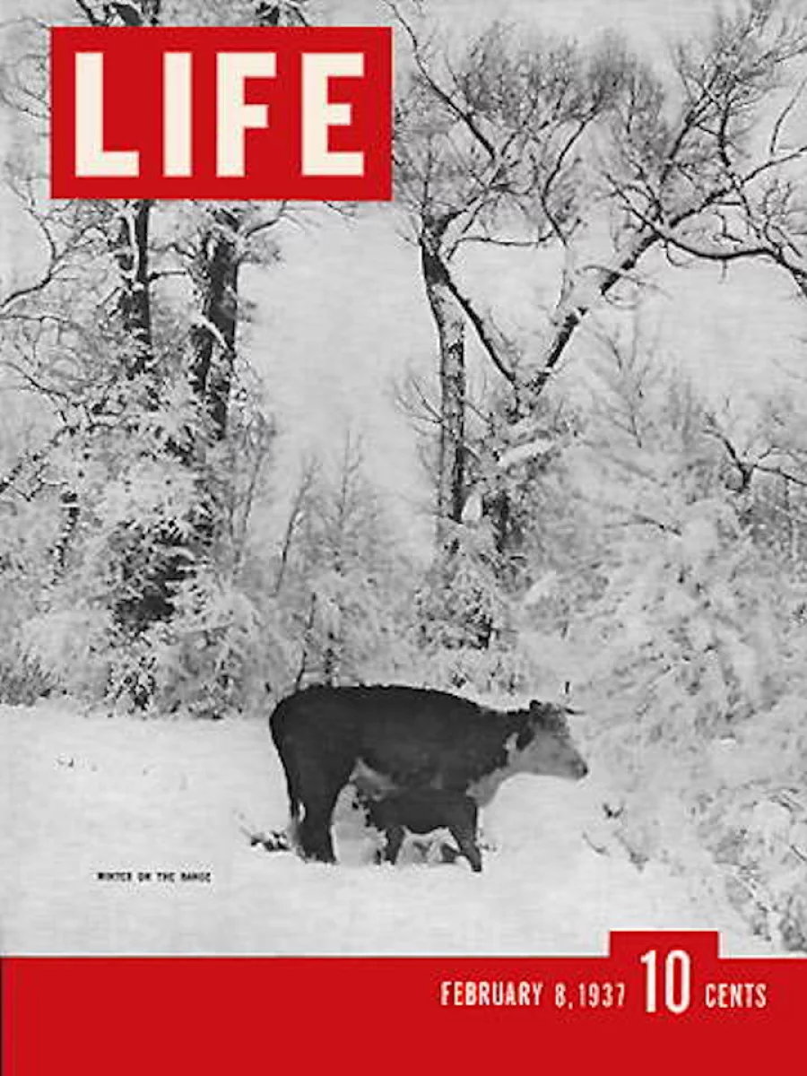 LIFE | February 8, 1937 at Wolfgang's