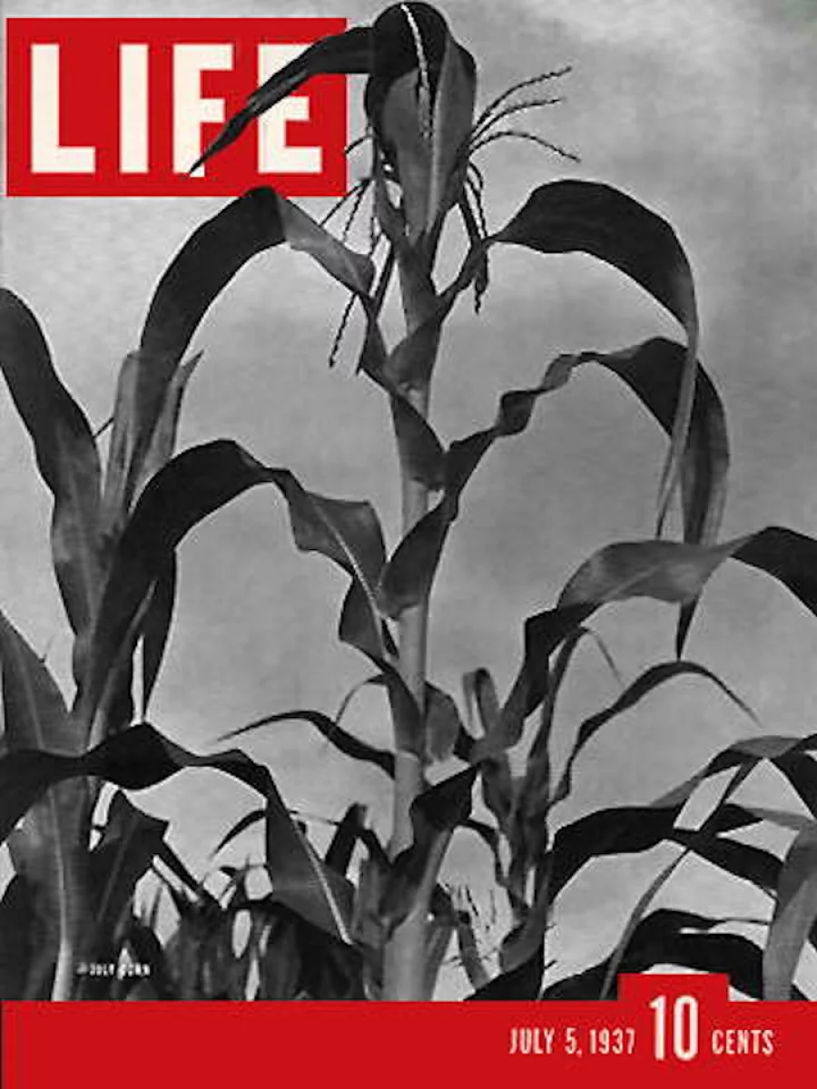 LIFE | July 5, 1937 at Wolfgang's