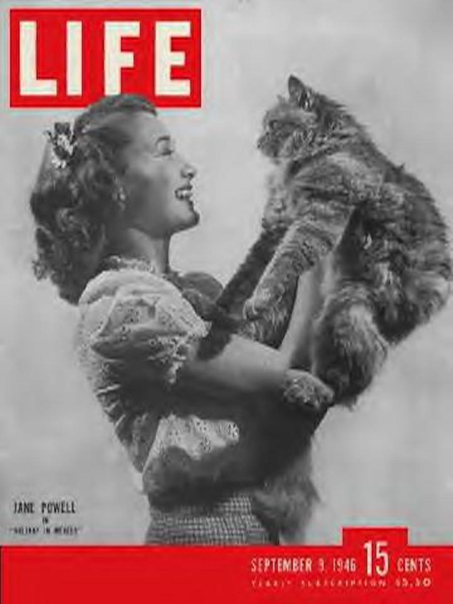 LIFE | September 9, 1946 at Wolfgang's